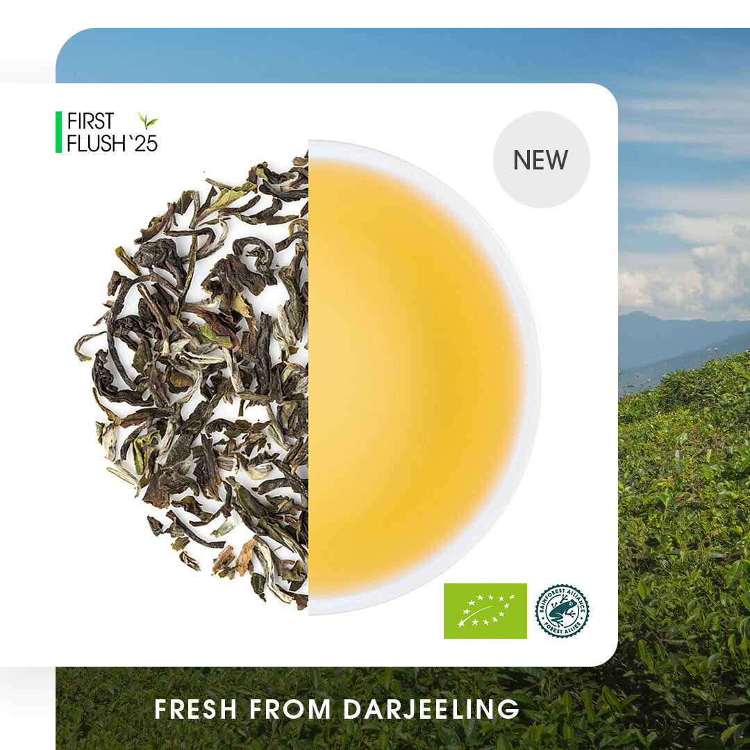 Buy 2025 Darjeeling Okayti Spring Clonal Black Tea Online | Teabox