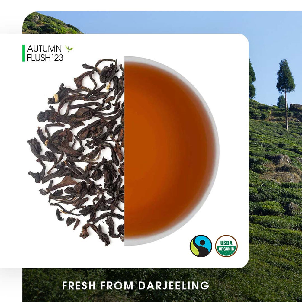 Buy Black Tea Leaves Online | 2024 Harvest | Teabox