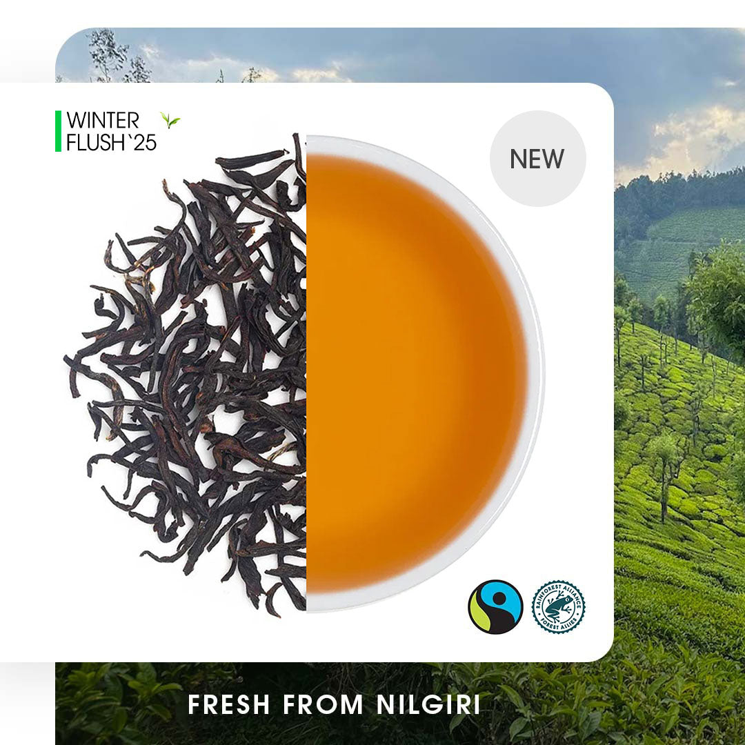 Buy 2025 Nilgiri Korakundah Winter Frost Black Tea Online | Teabox