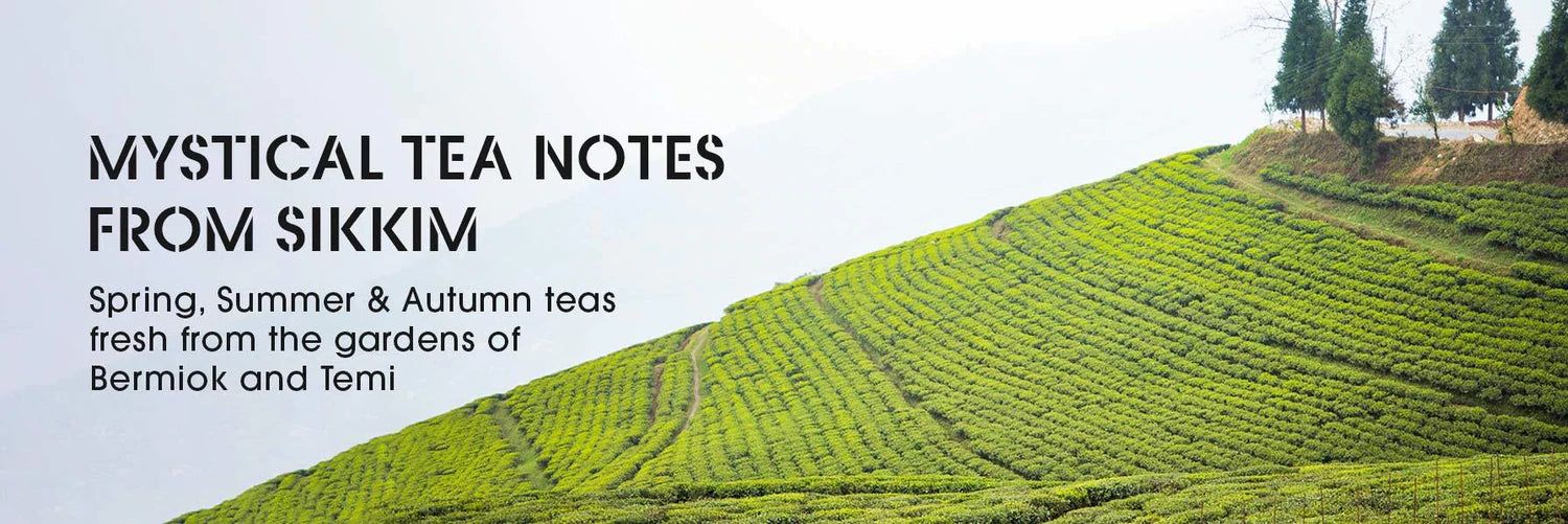 Sikkim Tea Estates