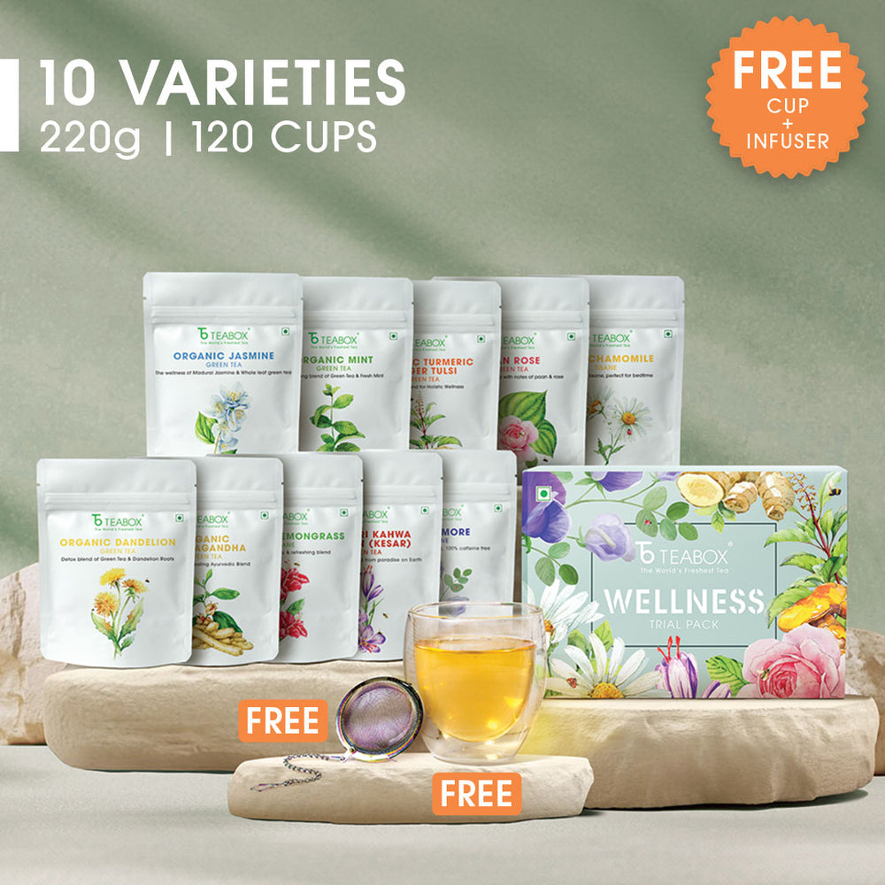 Buy Tea Samples Online | 2024 Harvest | Teabox