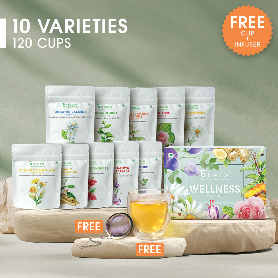 Buy Tea Samples Online | 2024 Harvest | Teabox